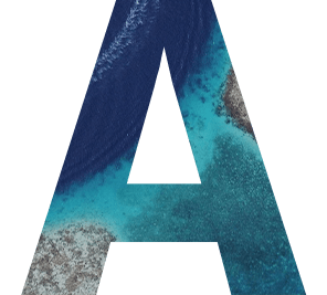 BTIA – Belize Tourism Industry Association
