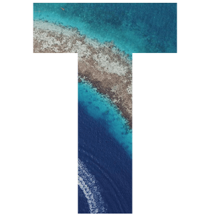 BTIA – Belize Tourism Industry Association