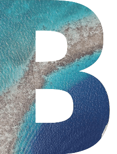 BTIA – Belize Tourism Industry Association