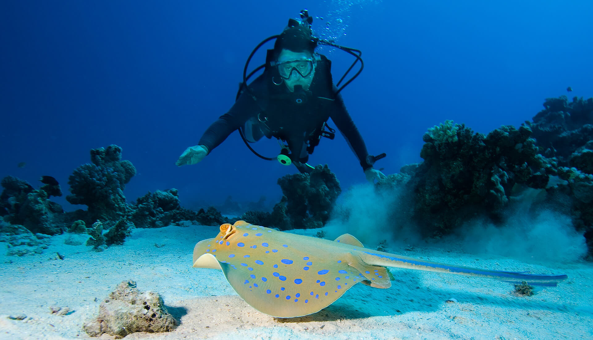 BTIA – Belize Tourism Industry Association